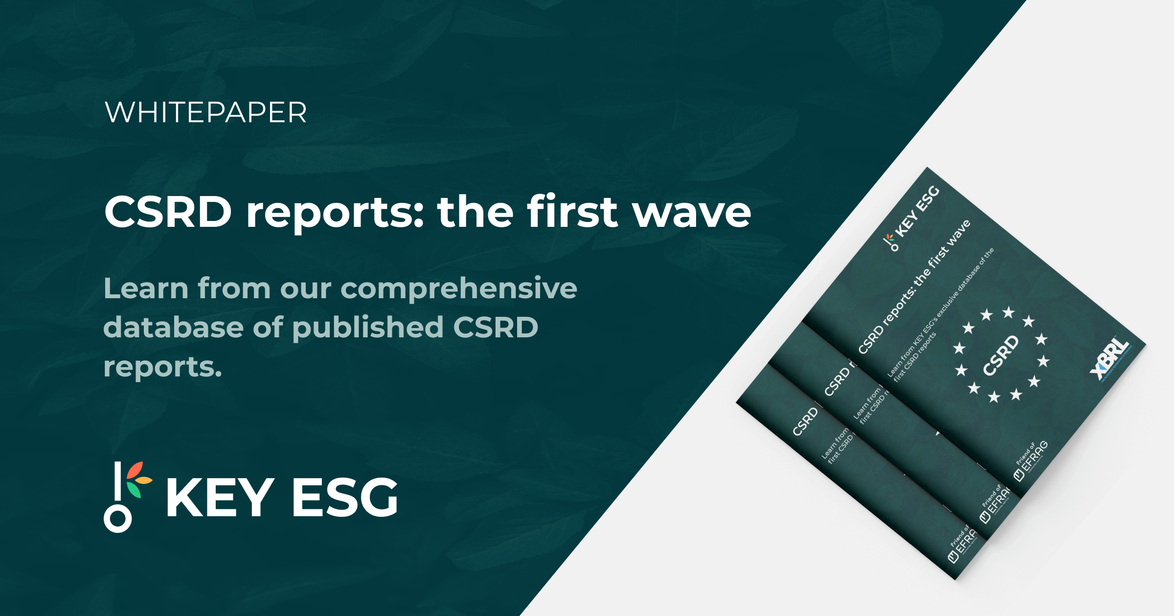 CSRD reports: the first wave | learn from KEY ESG's database